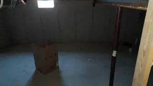 Entity 30: "Peekers" | Backrooms Wiki | Fandom