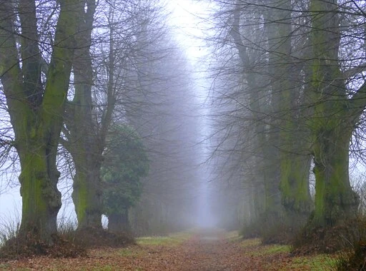 Level 198 η: "生き様" | Backrooms Wiki | Fandom