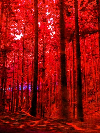 Level 174 η: "血濡れた庭園" | Backrooms Wiki | Fandom