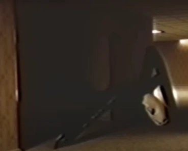 Entity 62: "Aranea Membri" | Backrooms Wiki | Fandom