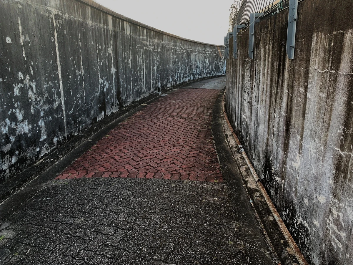 Level ZH 288-A: "右彎" | Backrooms Wiki | Fandom