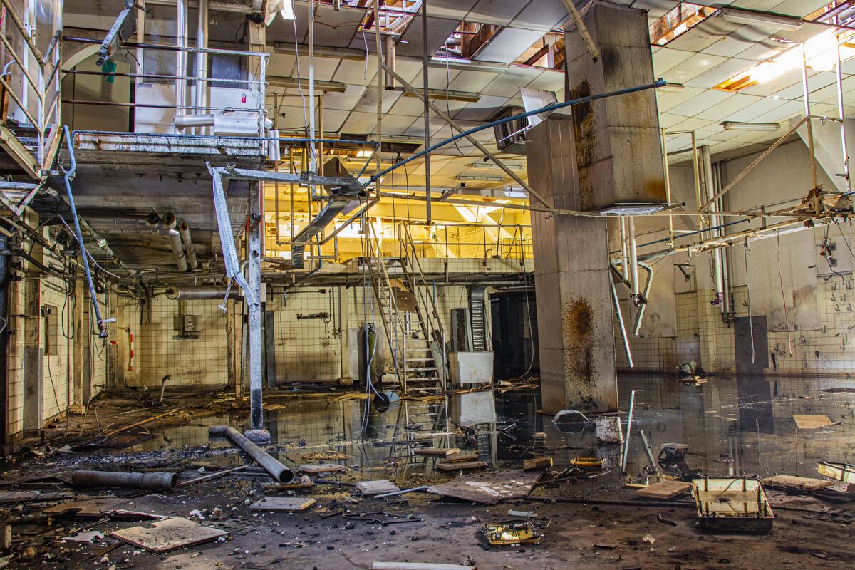 Level 23 Apparatus Insania Backrooms Wiki Fandom level-23-apparatus-insania-backrooms-wiki-fandom