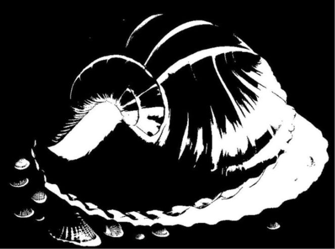 Level 215: One Yard Away from Shore | Backrooms Wiki | Fandom