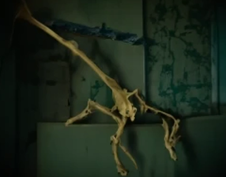 Entity 35: Spines | Backrooms Wiki | Fandom