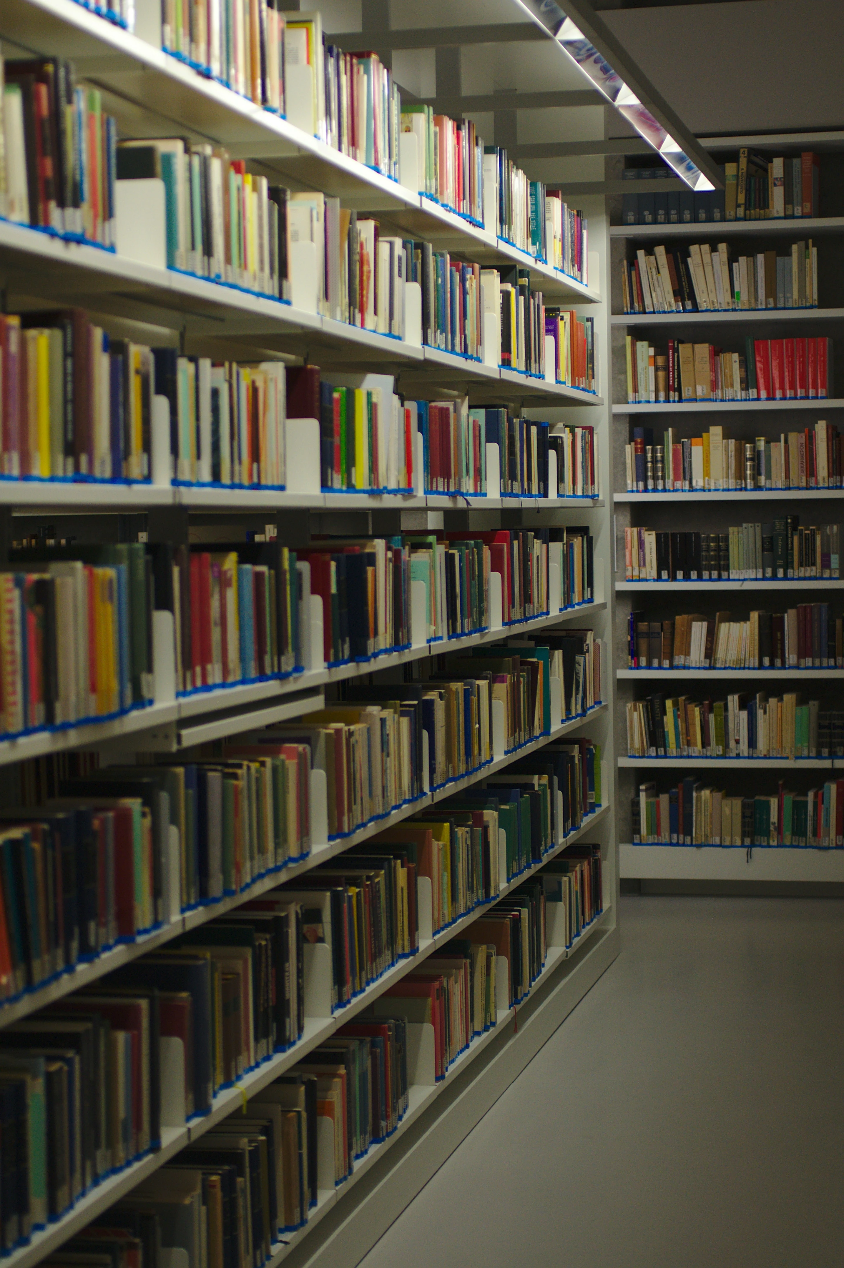 Nivel 75, "Biblioteca Decidible" | Wiki Backrooms | Fandom