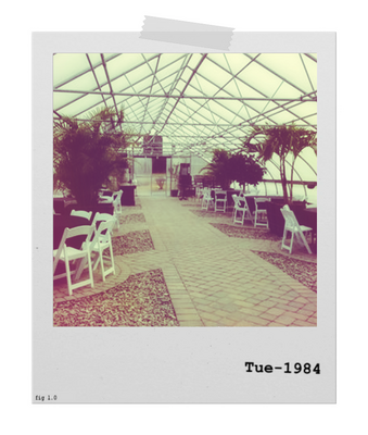 ☂️ Level 13: "Vitrum Madness" 🏡 | Backrooms Wiki | Fandom