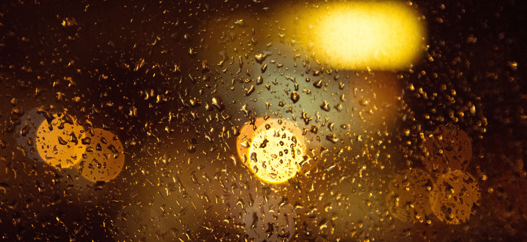 Level 178: "Anomaly Ahead!" | Backrooms Wiki | Fandom