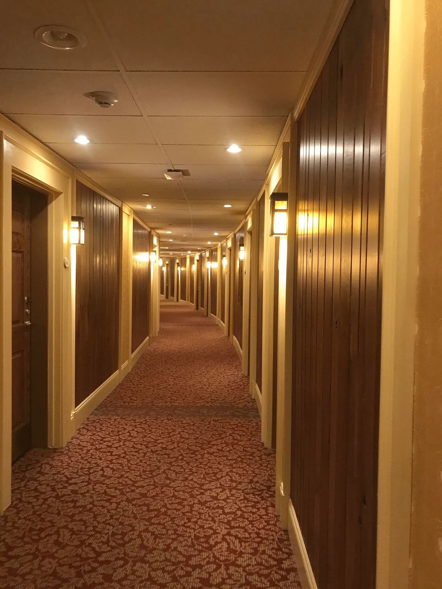 Entity 63: Predatory Doors | Backrooms Wiki | Fandom