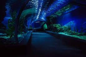 Level 43: "Water World"(水の世界) | Backrooms Wiki | Fandom