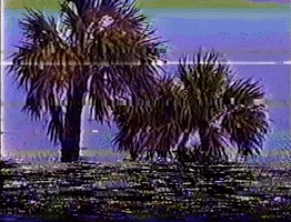 Level ℵ₄₀₀₀ | The Aleph Levels Wiki | Fandom