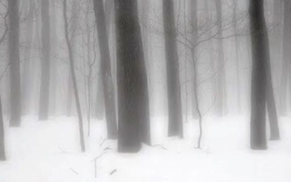 Level cy-30 | 后室CY集群 Wiki | Fandom