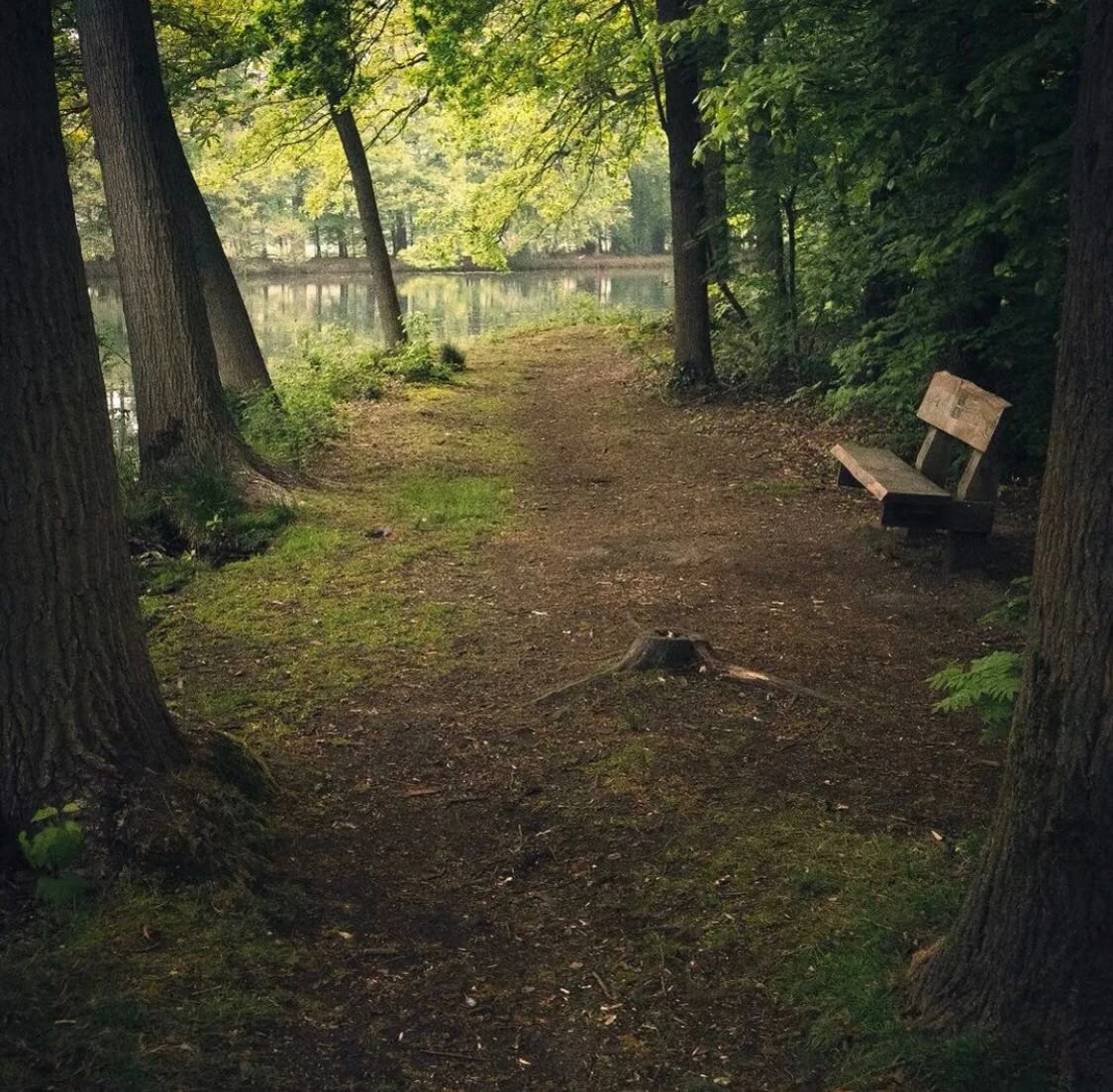 LevelD82“钰林” | BackroomsD Wiki | Fandom