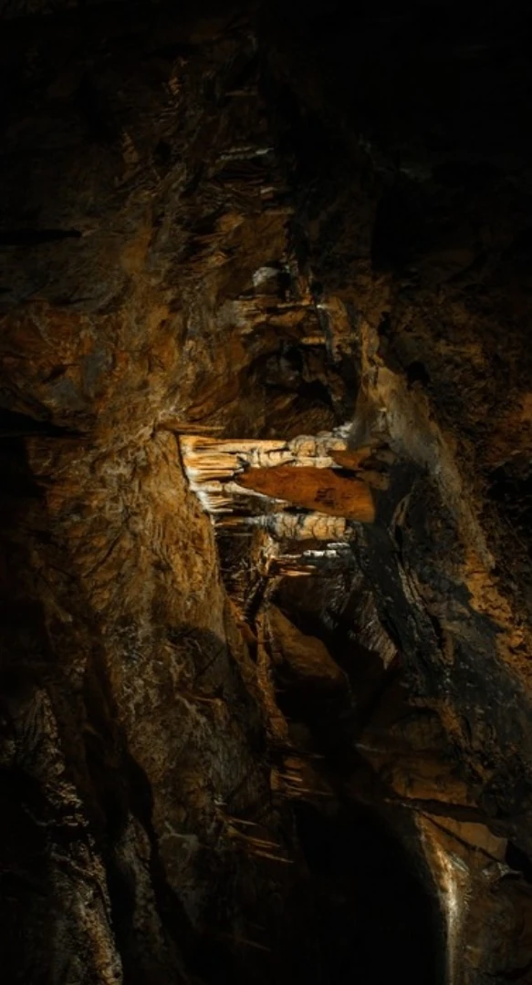 Level D8: "空穴" "Emptycave" | BackroomsD Wiki | Fandom