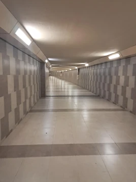 Level 1 | Backroomsversionofpedro Wiki | Fandom