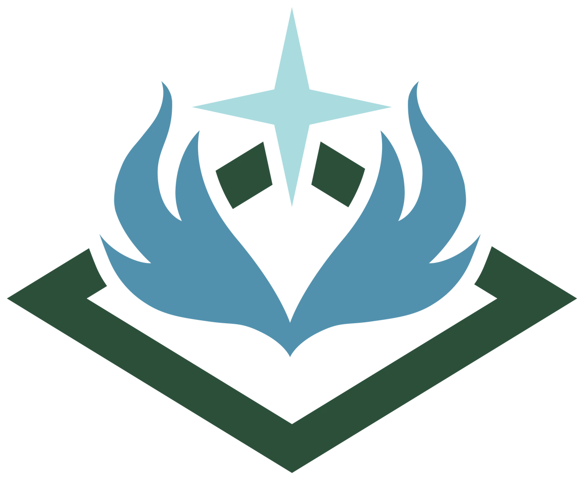 Jedi Order | Backyard Wars Wiki | Fandom