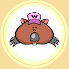 Wombats | Backyard Sports Leagues Wiki | Fandom