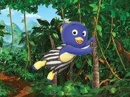 Pablo/Galería | Backyardigans Wiki | Fandom