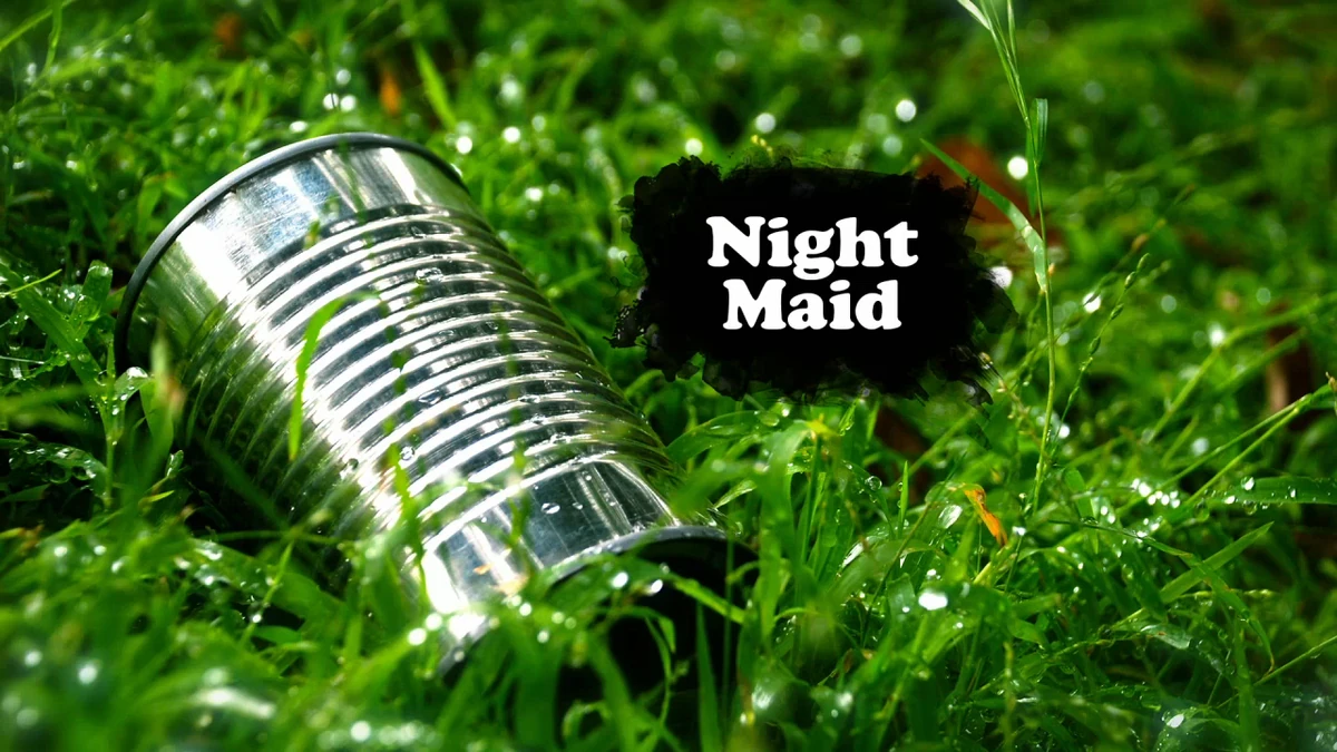 Night Maid | Harvey Beaks! Wiki | Fandom