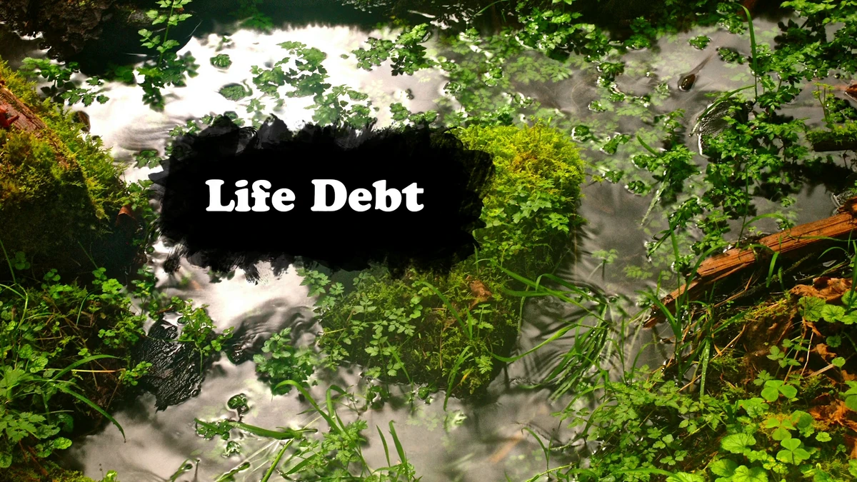 Life Debt | Harvey Beaks! Wiki | Fandom