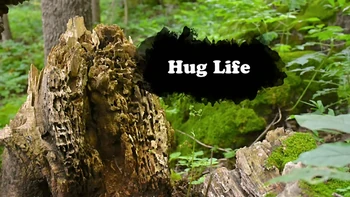 Hug Life | Harvey Beaks! Wiki | Fandom