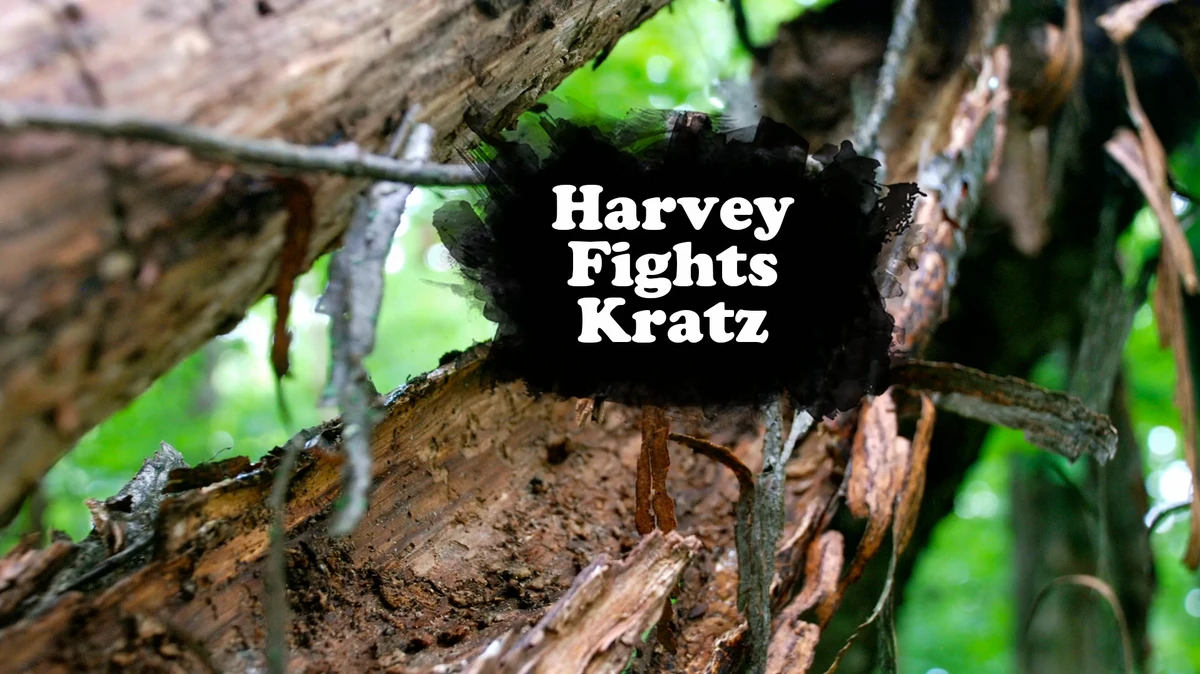 Harvey Fights Kratz | Harvey Beaks! Wiki | Fandom