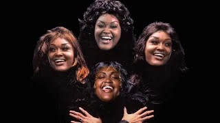 The Badussys | Badussy Books And more Wiki | Fandom