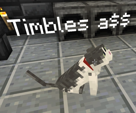 Timbles a$$ | BADZIEWA Wiki | Fandom