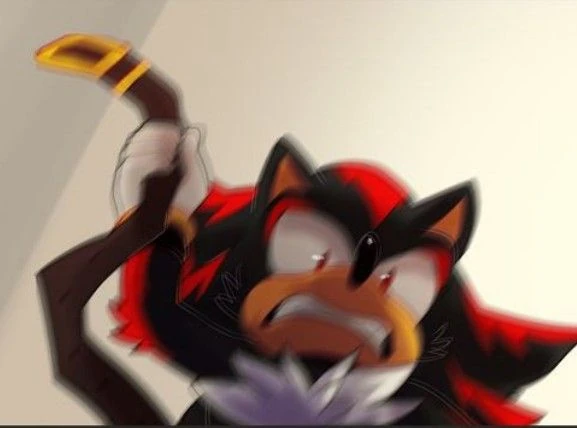 HOW SHADOW FEELS WHEN... | Fandom