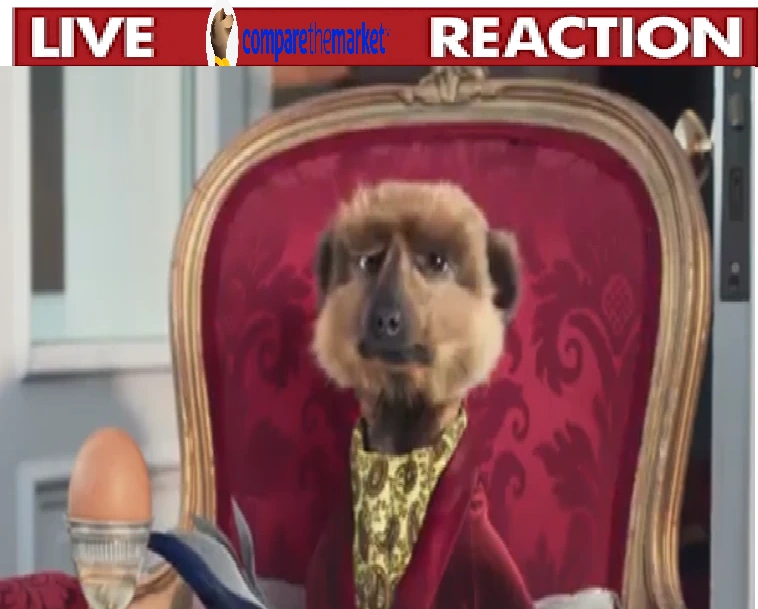 reaction image | Fandom