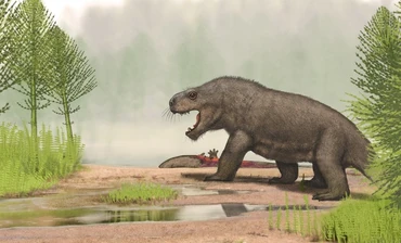 Discuss Everything About Dinopedia | Fandom