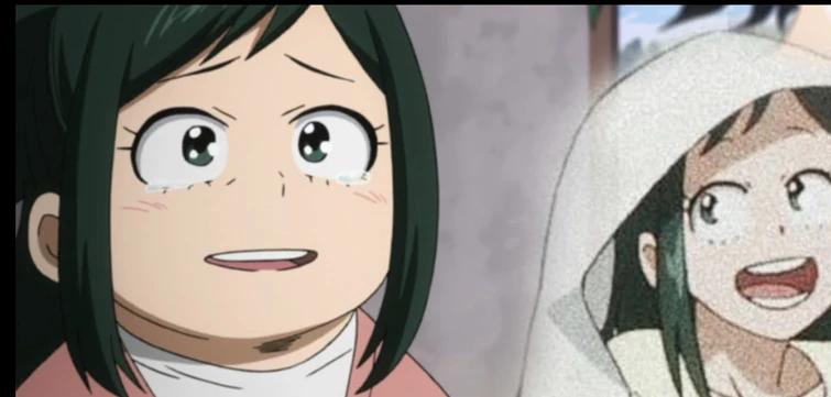 Happy Birthday Inko Midoriya, Captain Celebrity & Wolfram (also…) | Fandom