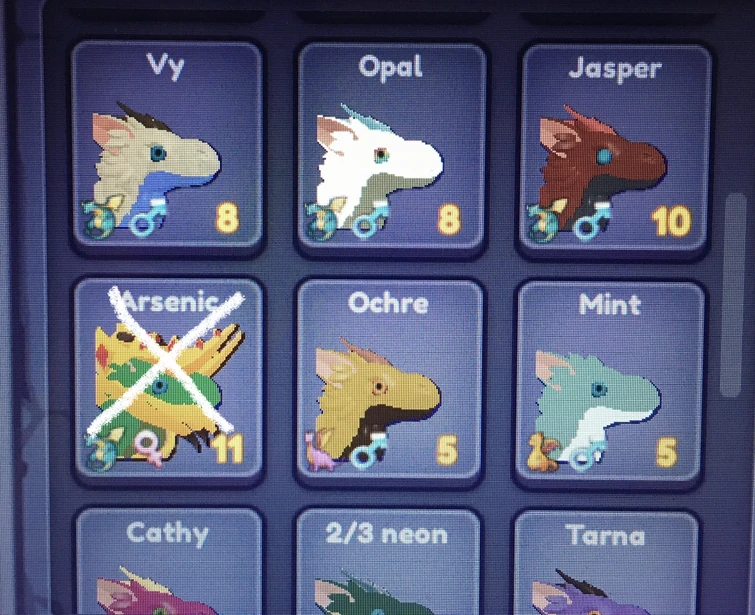 Discuss Everything About Dragon Adventures Wiki | Fandom