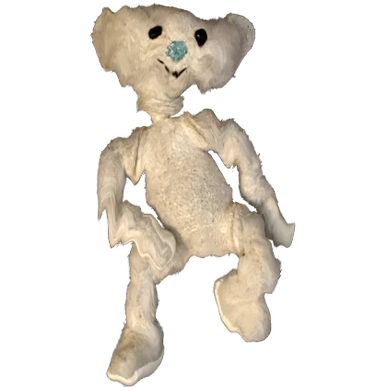 All my fanmade bear skins | Fandom