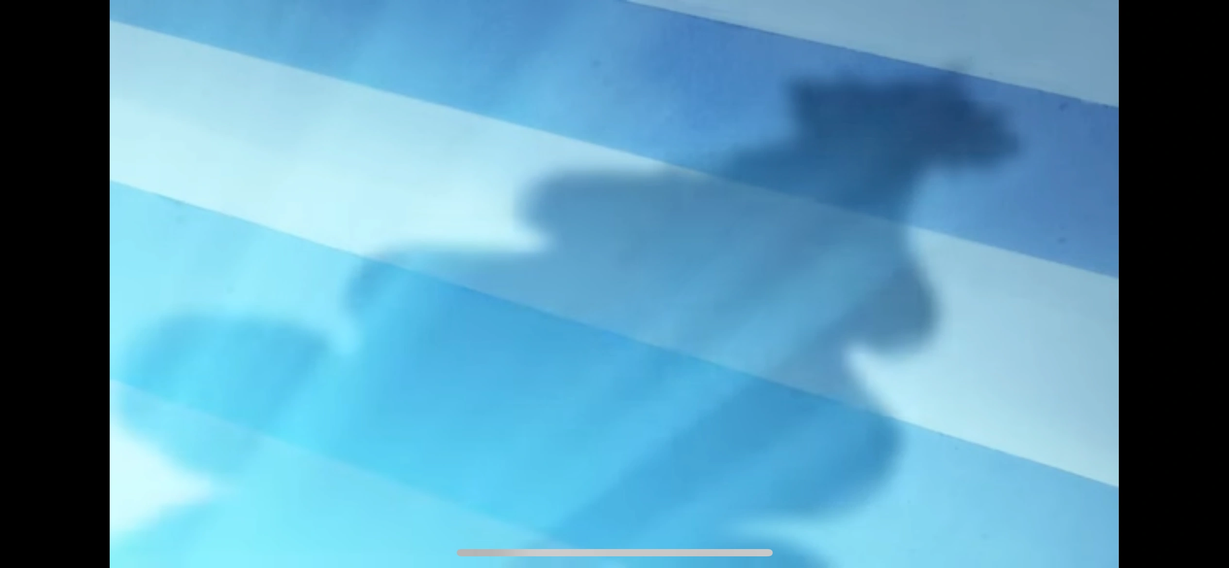 *Insert home improvement meme* | Fandom