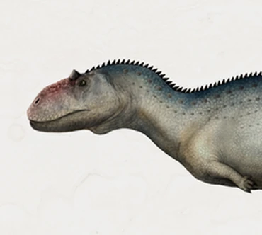 Discuss Everything About Dinopedia | Fandom