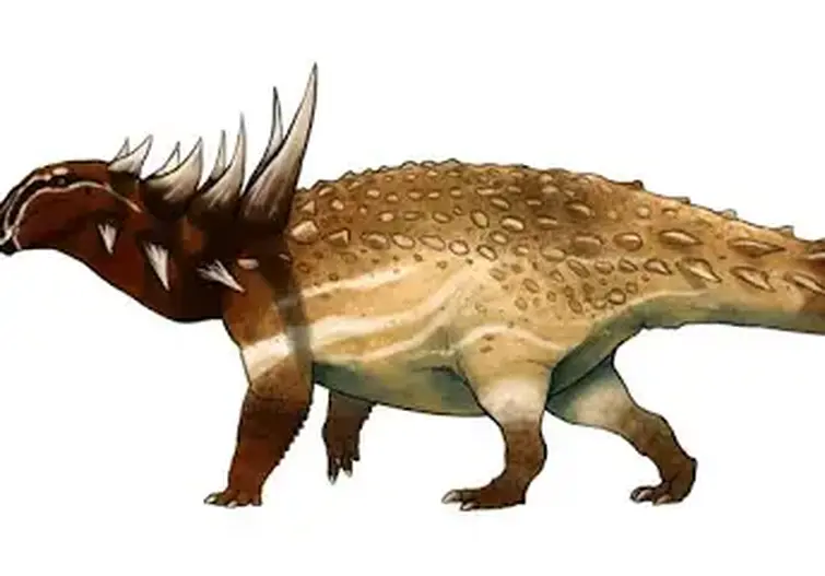 Discuss Everything About Dinopedia | Fandom