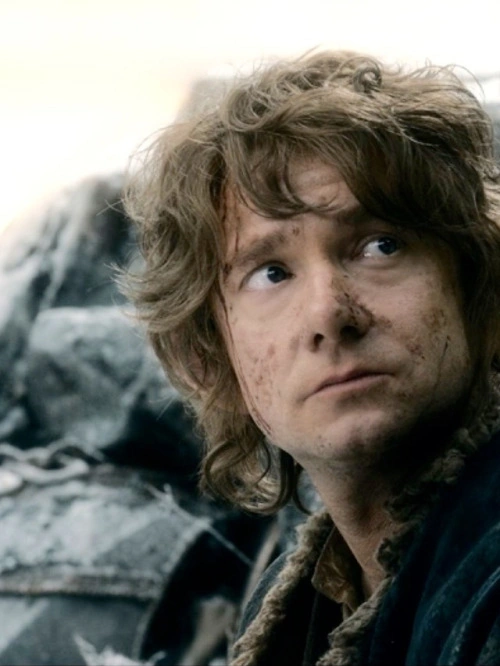 Bilbo Baggins | Baggins Chronicles Wikia | Fandom