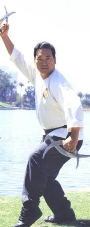 Jason Tsou 鄒家驤 | Bajiquan Wikia | Fandom