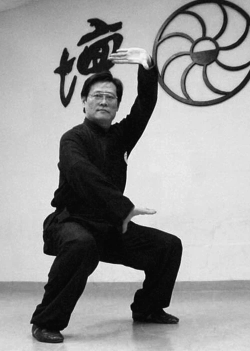 Chen Chang Lin 陳長霖 | Bajiquan Wikia | Fandom