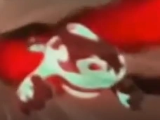 Babosa Vamparo | Wiki Bajoterra | Fandom