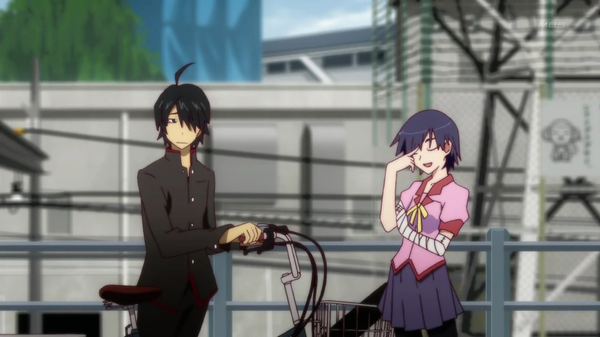 Bakemonogatari Episode 06: Suruga Monkey, Part 1 | Bakemonogatari Wiki ...