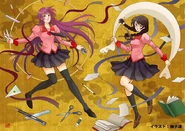 Episode List/End Cards | Bakemonogatari Wiki | Fandom