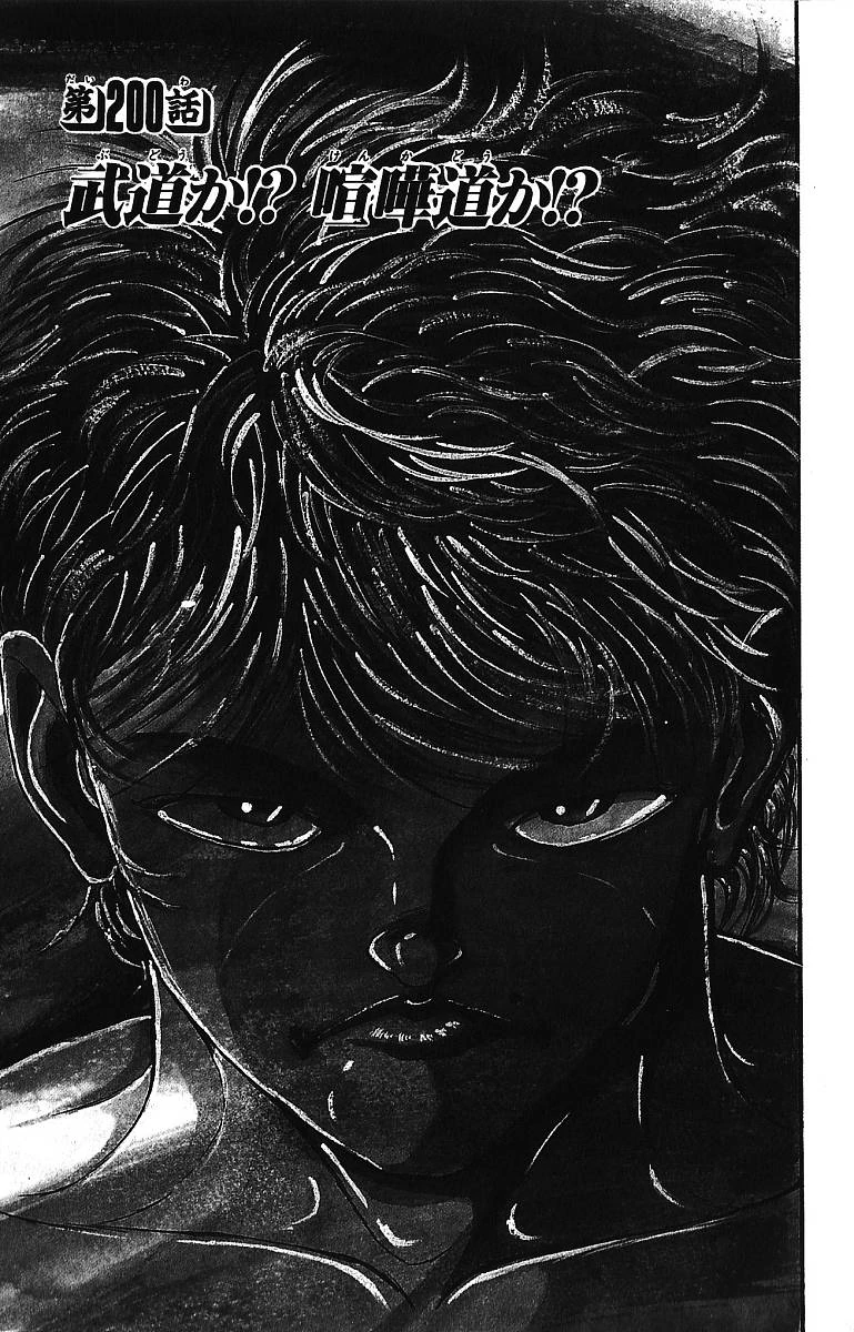 Martial Arts or Brawling?! | Baki Wiki | Fandom