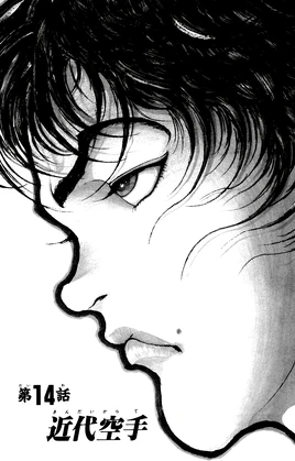 Modern Karate | Baki Wiki | Fandom