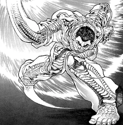 Countless Joints | Baki Wiki | Fandom