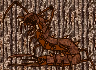 Worm | Bakugan Fanon Wiki | Fandom