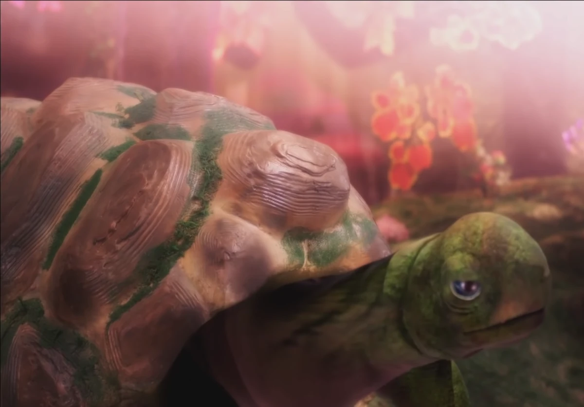 Stone Turtle | Balala the Fairies Wiki | Fandom