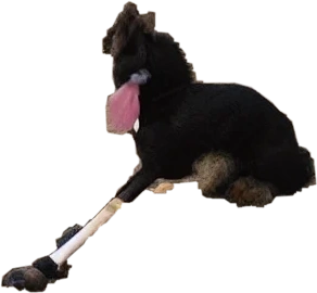 Stick Killer | Baldi's Basics Fanon Wiki | Fandom