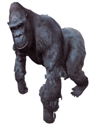 Gorilla | Baldi's Basics Fanon Wiki | Fandom