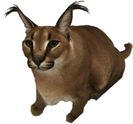 Floppa | Baldi's Basics Fanon Wiki | Fandom